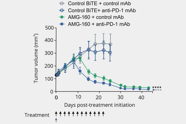 Humanized Mouse Models For Immuno Oncology Research