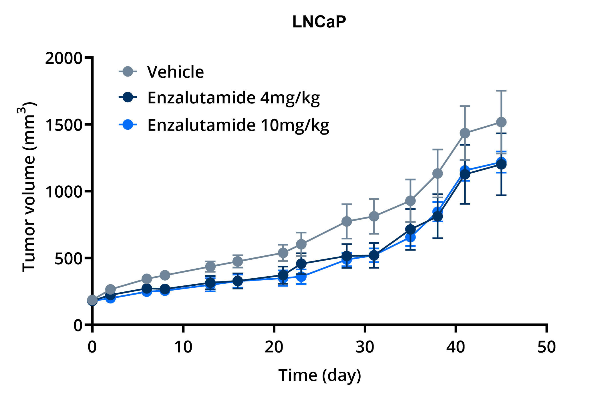 Cell Line-derived Models