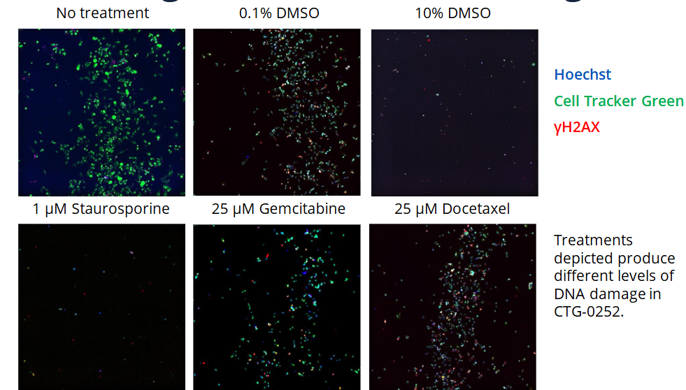 DNA Damage Assays - Champions Oncology