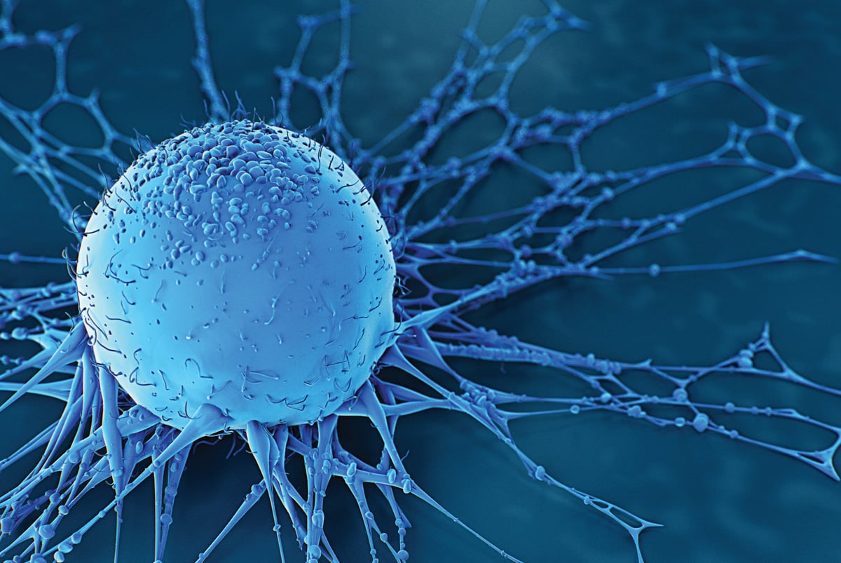 Humanized Mouse Models for Immuno-oncology Research