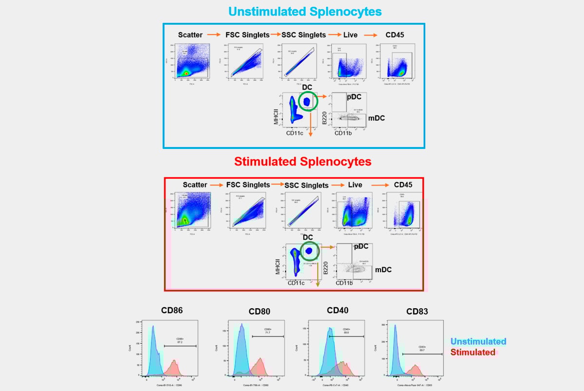Validated Flow Cytometry Services | Custom Panel Design