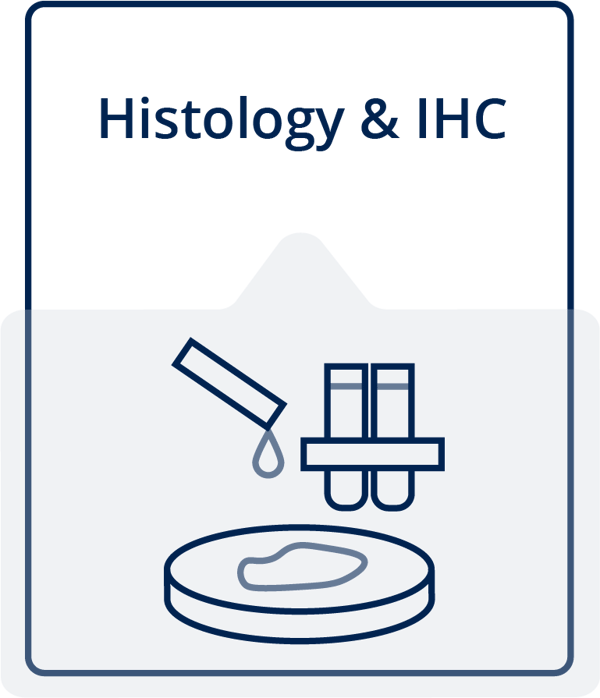 Solid Tumor PDX Models