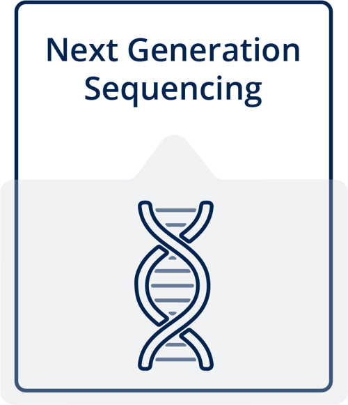 Cell Line-Derived Xenograft (CDX) Mouse Models