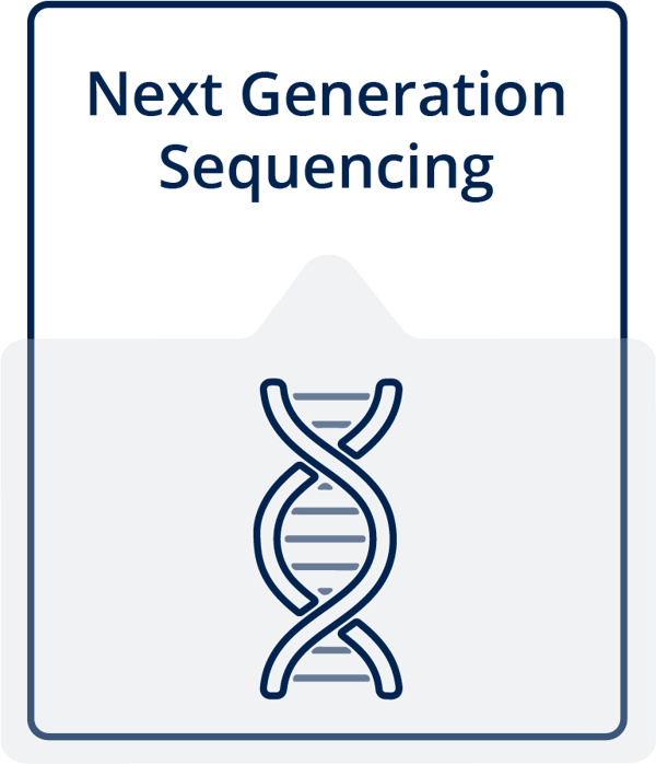 Cell Line-Derived Xenograft (CDX) Mouse Models