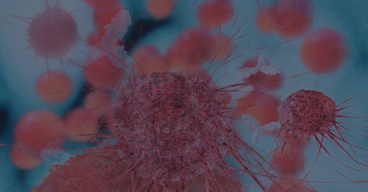 In Vivo Preclinical Mouse Models | Champions Oncology