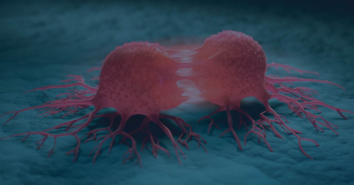 In Vivo Preclinical Mouse Models | Champions Oncology