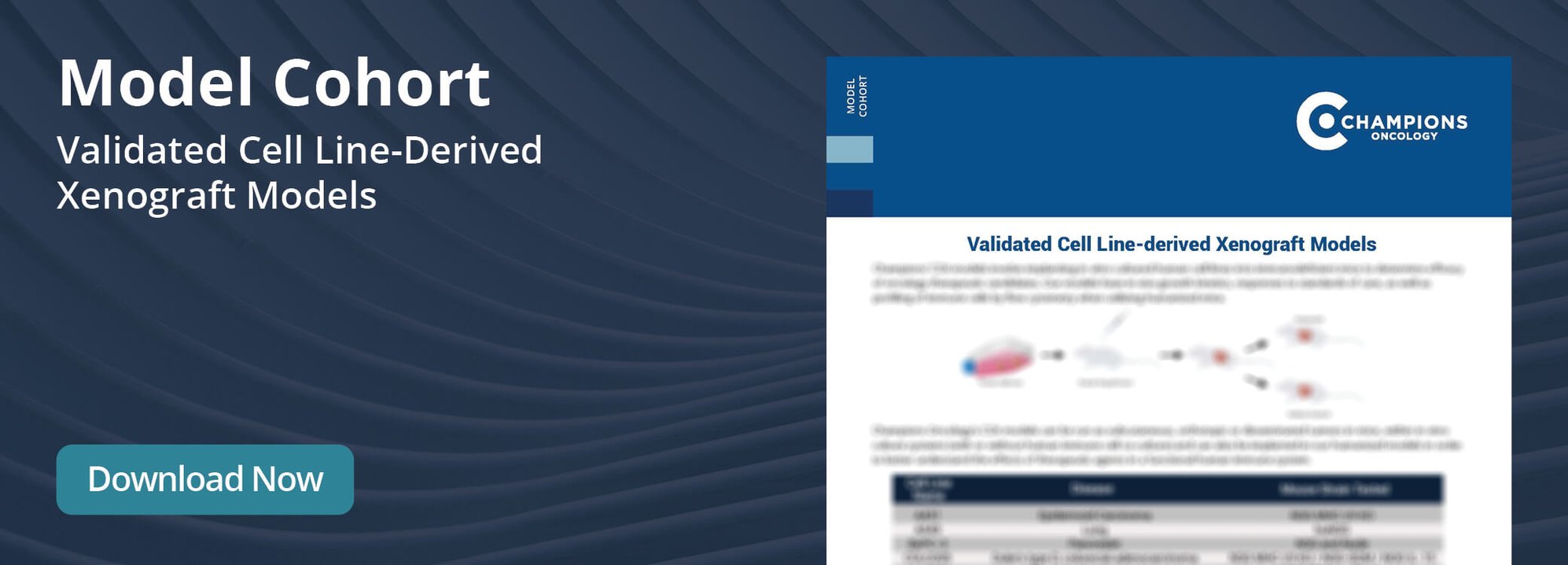 Cell Line-derived Models