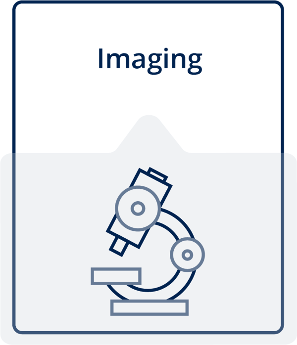 Syngeneic Mouse Models | Champions Oncology