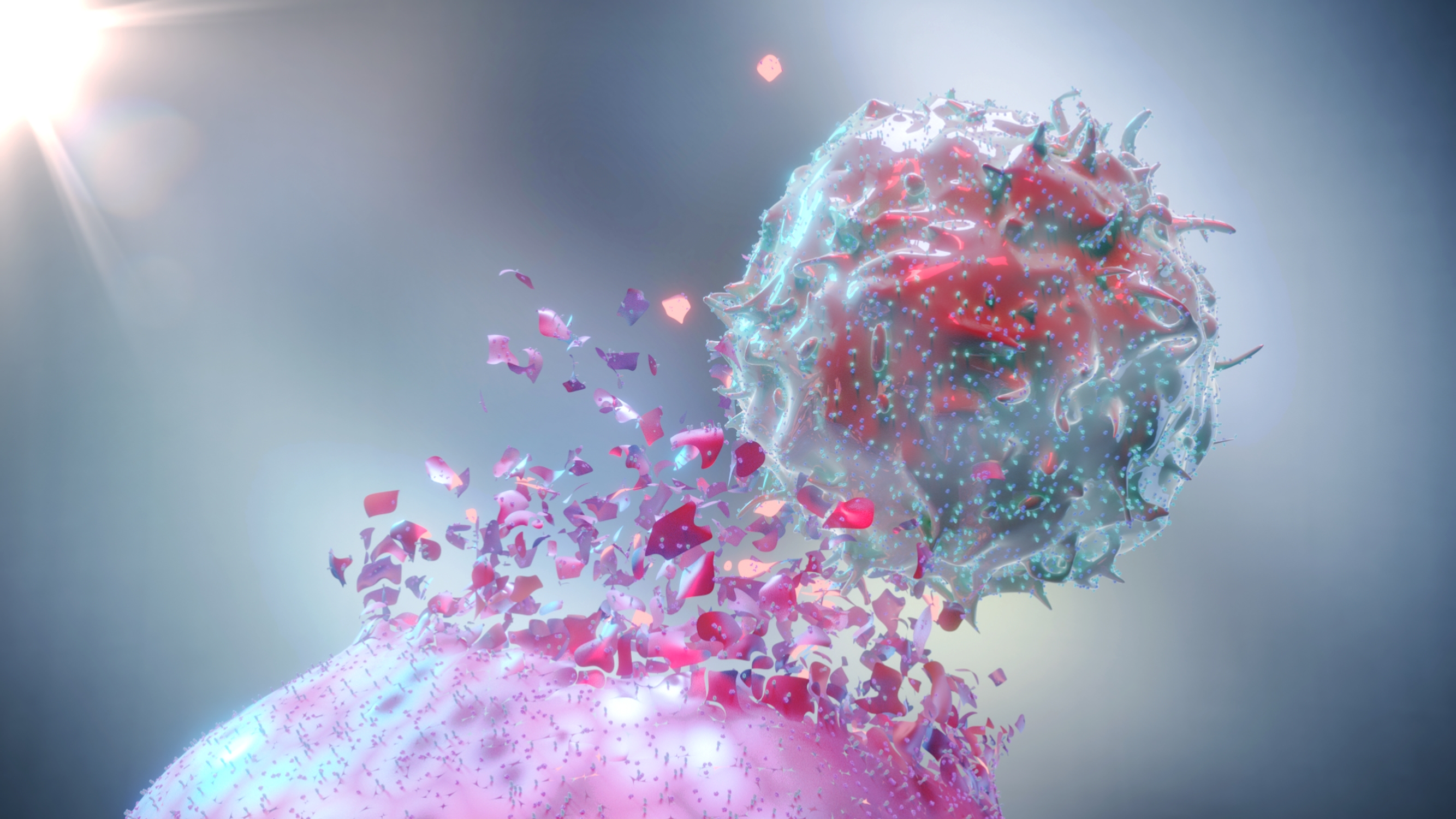 Immuno-Oncology Platforms Immuno-Oncology Platforms